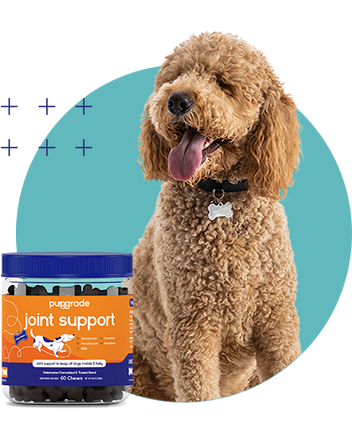 Joint Support – PupGrade