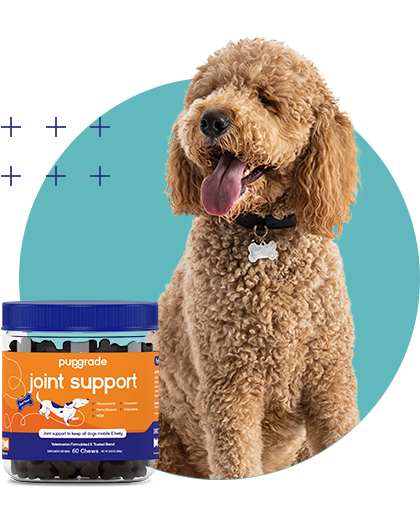 Joint Support – PupGrade
