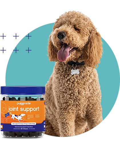Joint Support – PupGrade
