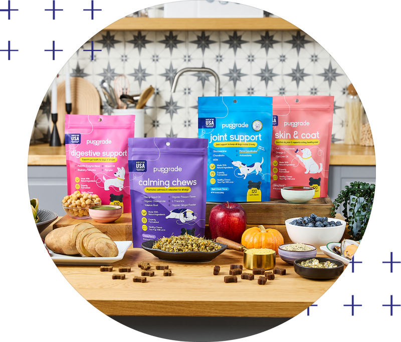 Dog Multivitamins & Joint Support Supplements by PupGrade