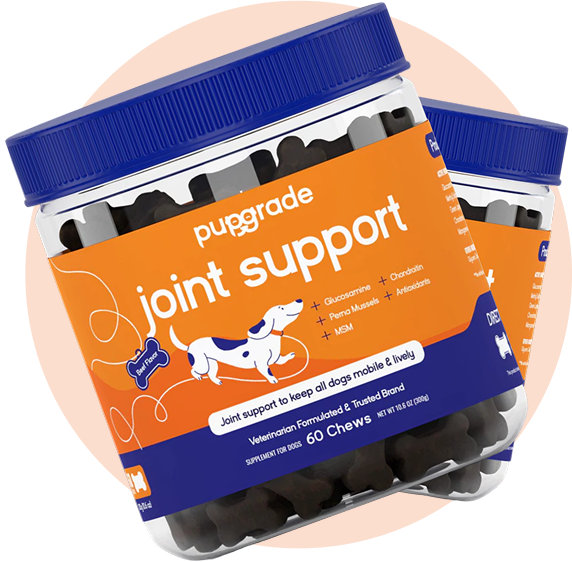 Dog Multivitamins & Joint Support Supplements by PupGrade